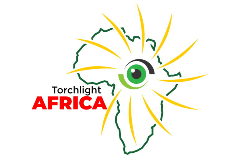 Call for Freelance Writers: Torchlight Africa Series | Nigeria Health Watch